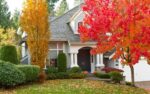 25 Stunning Autumn Trees to Add Color to Your Landscape