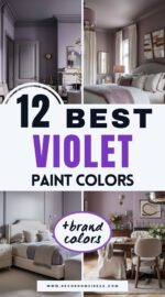 Bright and Vibrant Violet Paint Colors That Bring Life to Any Space