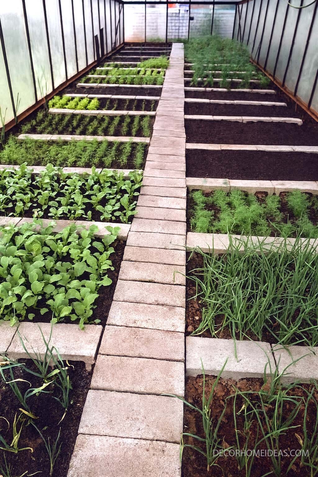 26 Cheap and Easy DIY Greenhouse Ideas for Any Backyard